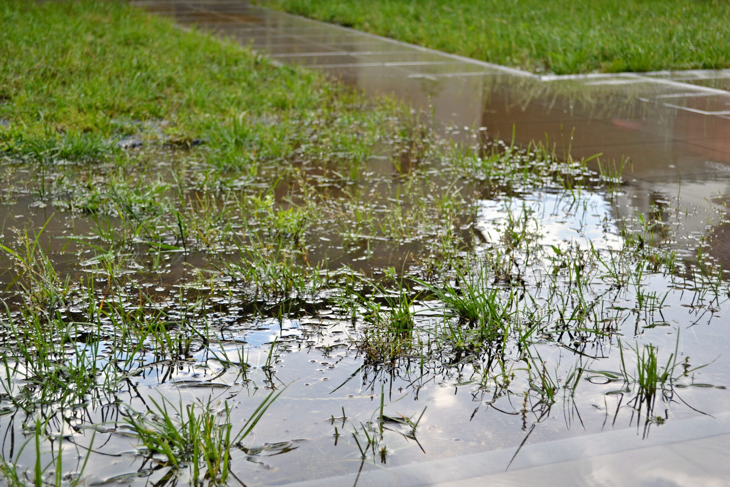 Professional Yard Drainage Solutions in Fort Worth, Arlington ...